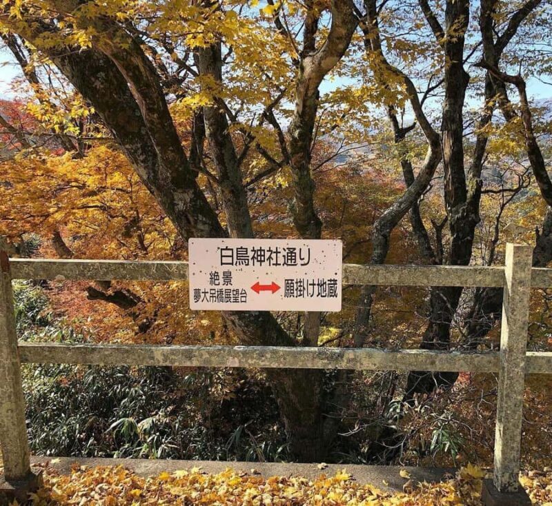 Fukuoka: 2-Day Kysh Onsen & Mt. Aso -Volcano Escape Tour - Key Points