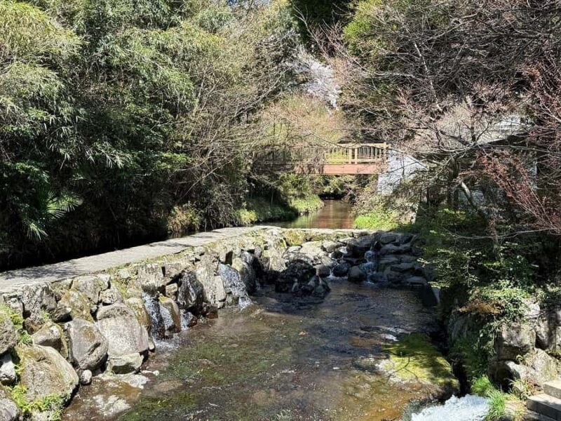 Fukuoka: 2-Day Kysh Onsen & Mt. Aso -Volcano Escape Tour - What Travelers Say
