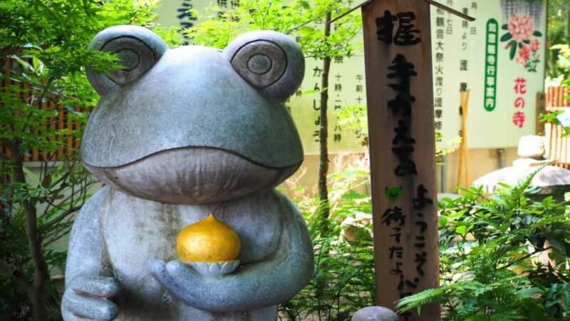 Fukuoka: Beppu Hells HotSpring, Frog Temple & Yufuin DayTrip - The Journey to Beppu (Approx. 70 minutes)