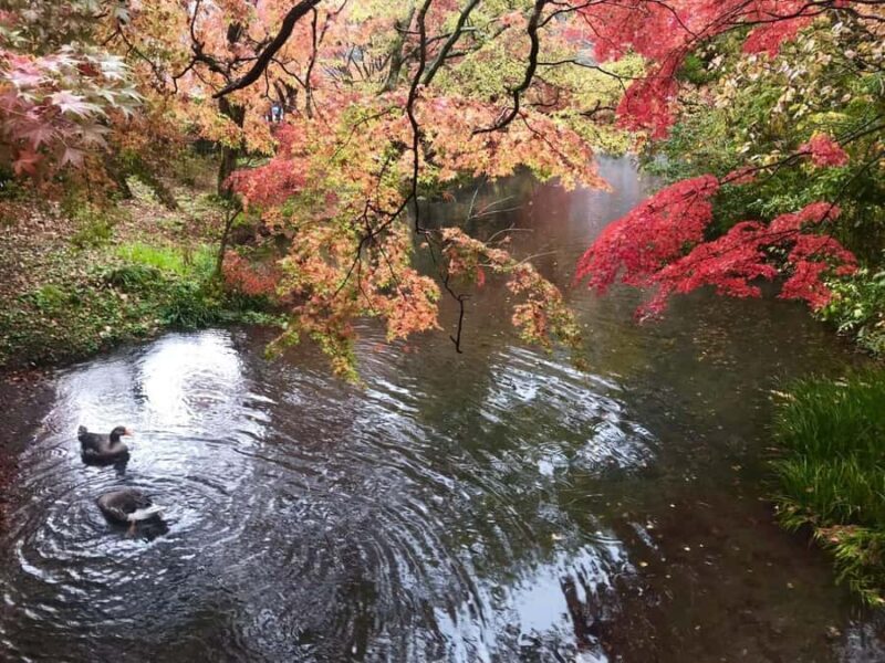 Fukuoka: Beppu Hells HotSpring, Frog Temple & Yufuin DayTrip - Return to Fukuoka