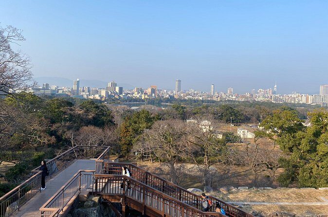 Fukuoka Castle and Hakata Highlights - Who Should Take This Tour?
