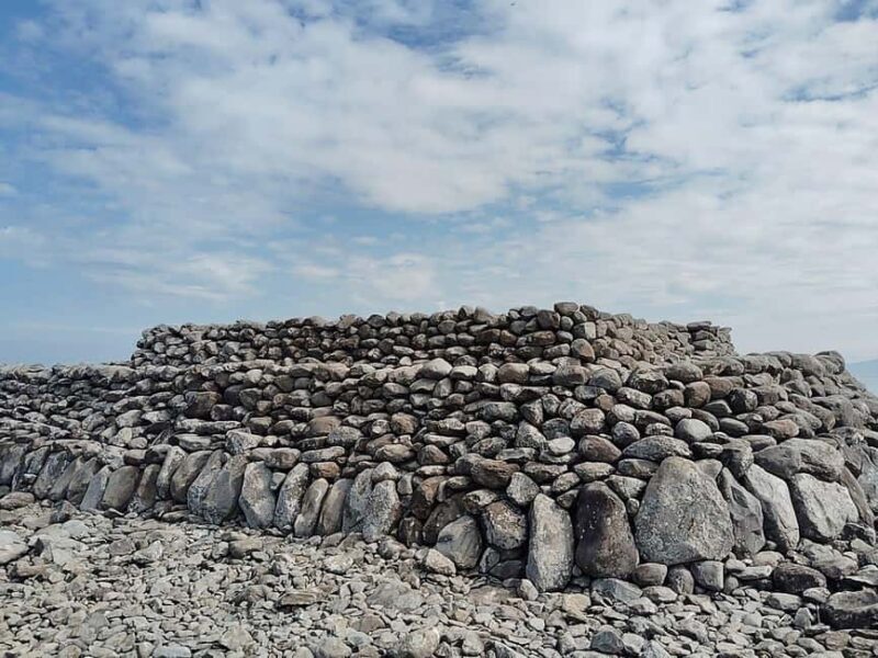 Fukuoka: Cats Island, Ainoshima Guided Tour from Hakata - Practical Details: Transport, Timing, and Value