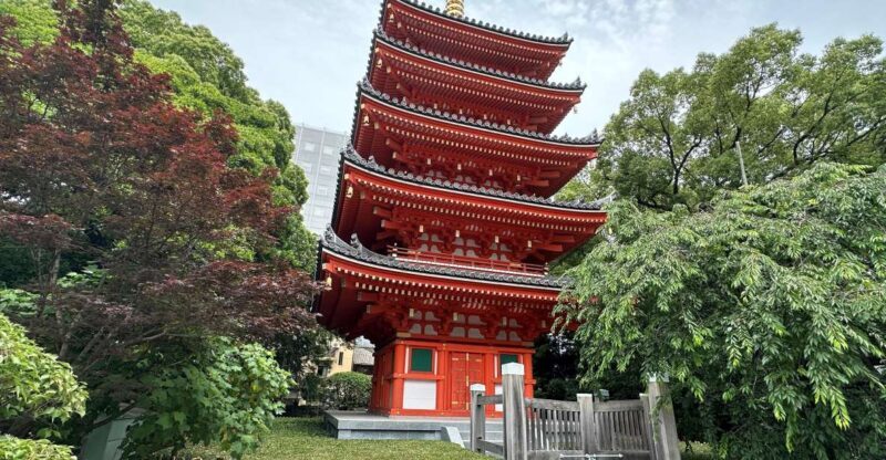 Fukuoka: Customized Private Tour - Experience the Charm of Fukuoka with a Private Custom Tour