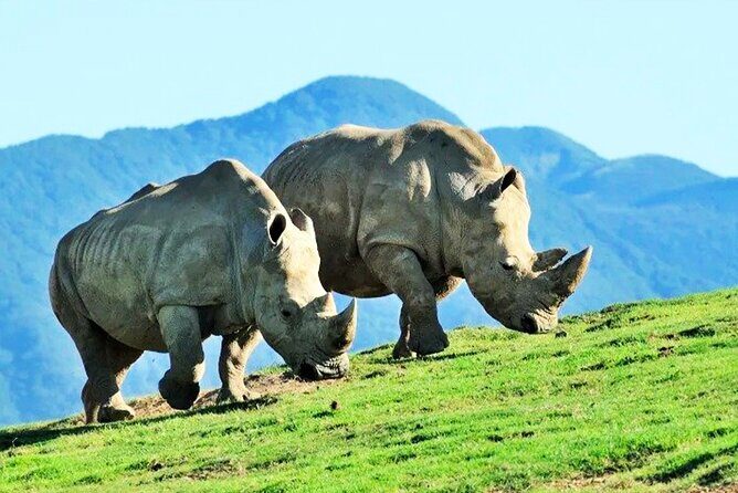 Fukuoka Day Trip to Yufuin, Beppu Hell Onsen and Animal Park - Key Points