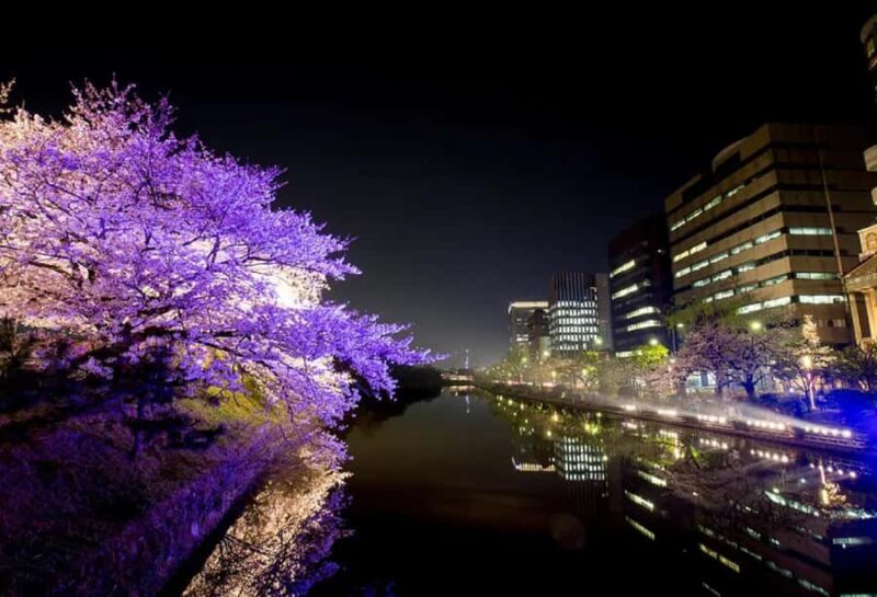 Fukuoka: Dazaifu Shrine, Ohori Park, and Castle Tour - Fukuoka: Dazaifu Shrine, Ohori Park, and Castle Tour — A Balanced Look at Kyushu’s Hidden Charms