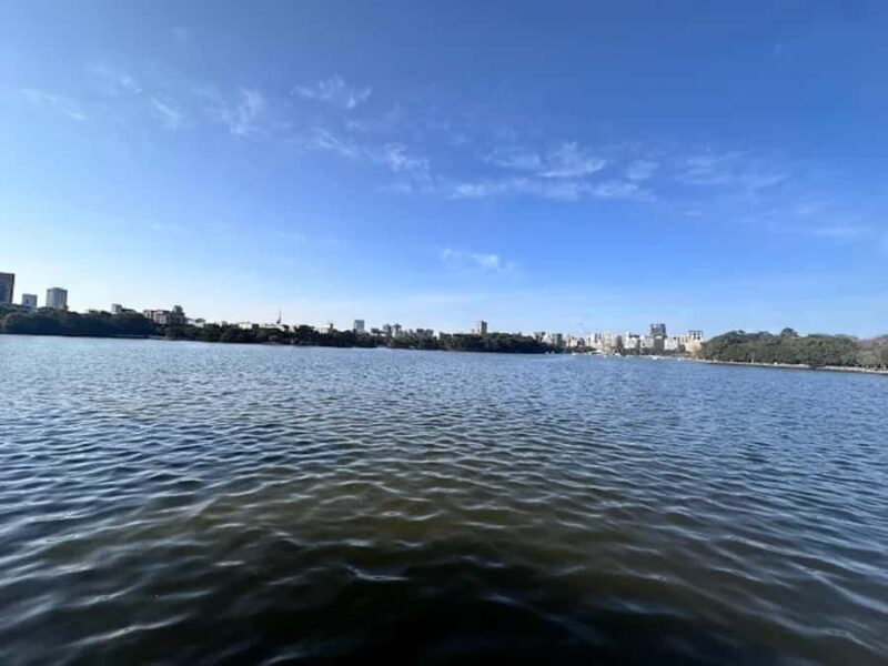 Fukuoka: Dazaifu Shrine, Ohori Park, and Castle Tour - Final Thoughts