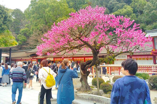 Fukuoka: Dazaifu Tenmangu 2-Hour Guided Tour - An In-Depth Look at the Tour Experience