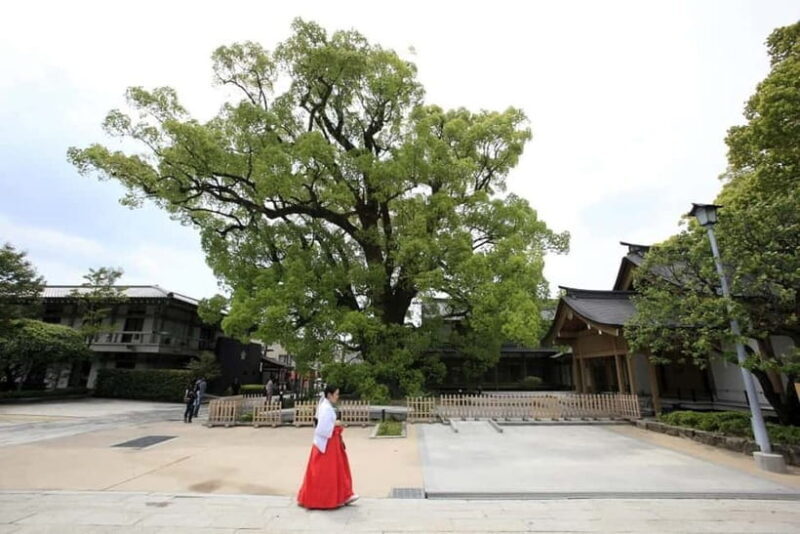 Fukuoka: Dazaifu Tenmangu 2-hour Guided Tour - The Charm of Dazaifu Tenmangu in Focus
