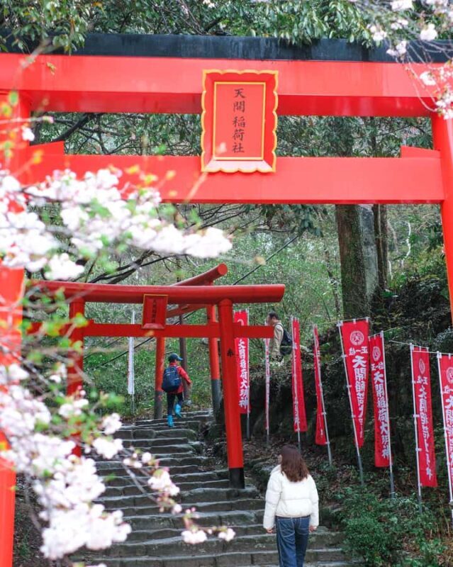 Fukuoka: Dazaifu Tenmangu Shrine & Yatai Food Tour - Key Points