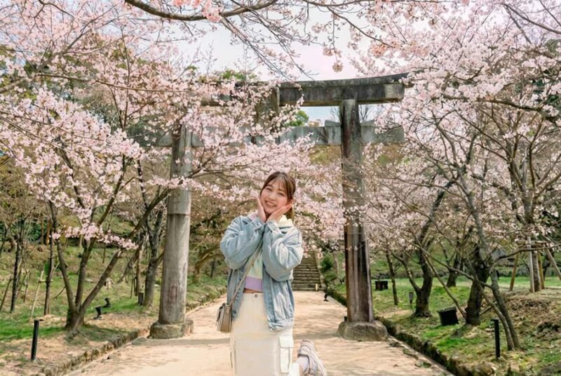 Fukuoka: Dazaifu, Yanagawa River Cruise & Strawberry Picking - An In-Depth Look at the Tour Experience