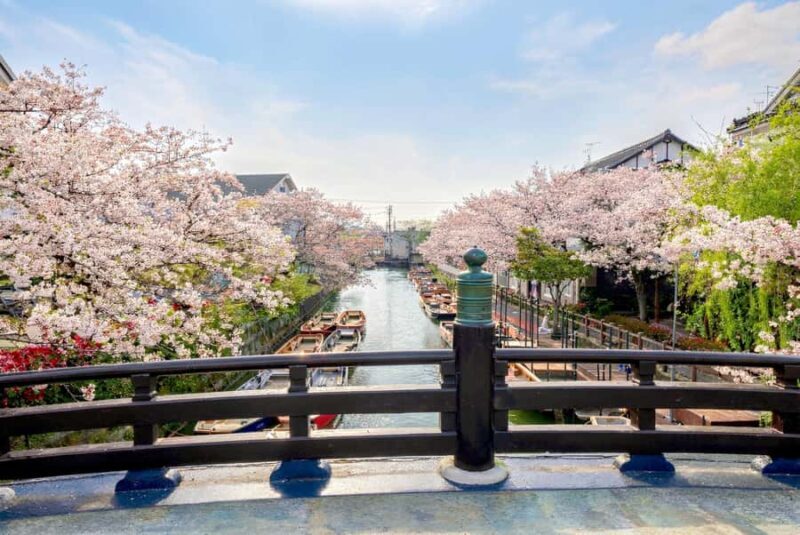 Fukuoka: Dazaifu, Yanagawa River Cruise & Strawberry Picking - Who Will Love This Tour?