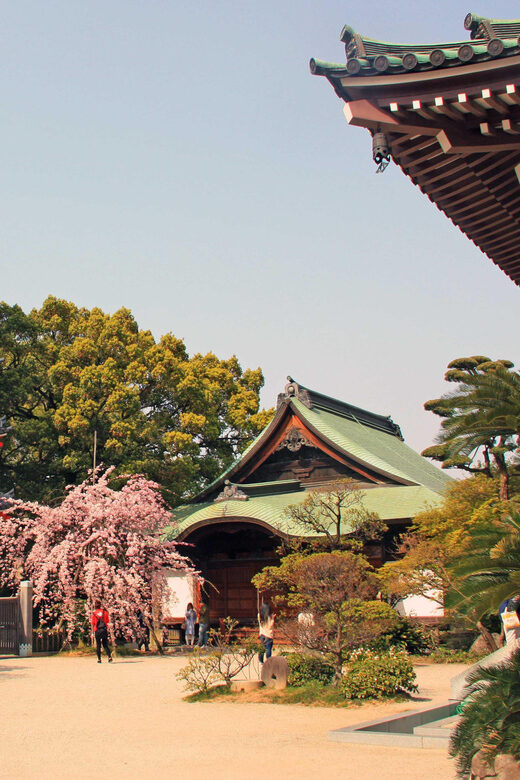 Fukuoka Essentials: History, Culture, & Charms - Who Will Love This Tour?