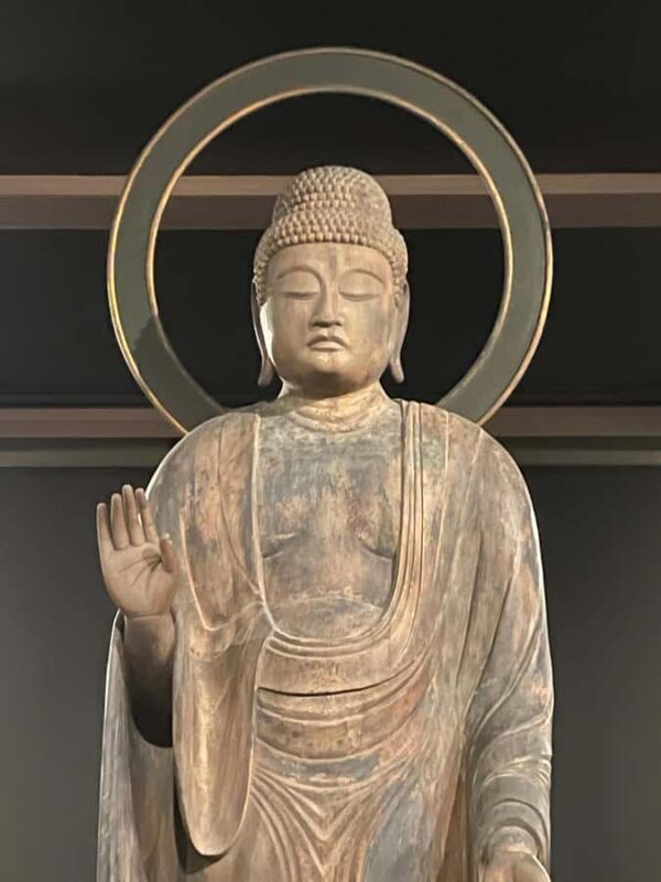 Fukuoka: Good Morning at Ohori Park and Fukuoka Castle Ruins - Who Should Consider This Tour?