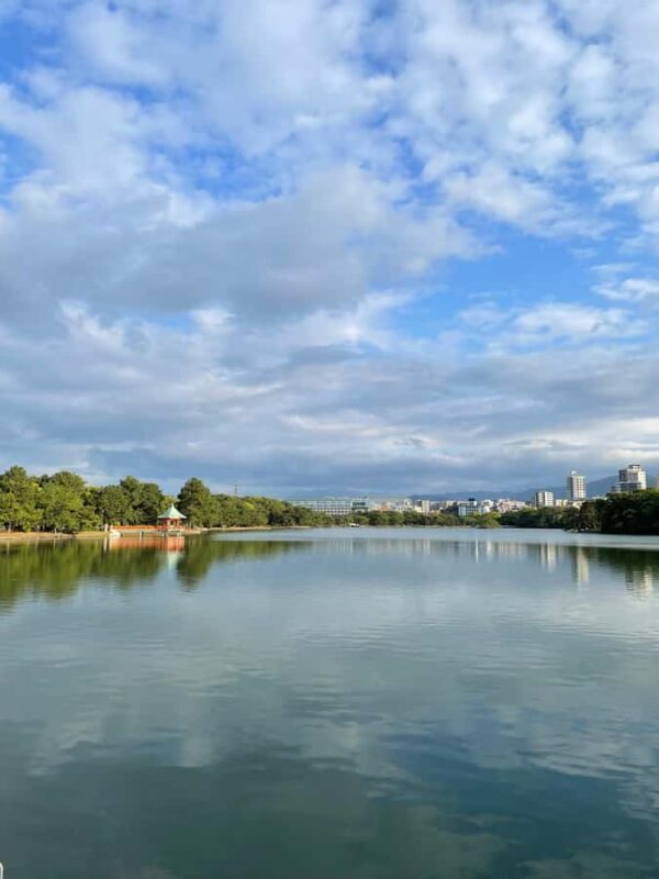 Fukuoka: Good Morning at Ohori Park and Fukuoka Castle Ruins - Final Thoughts
