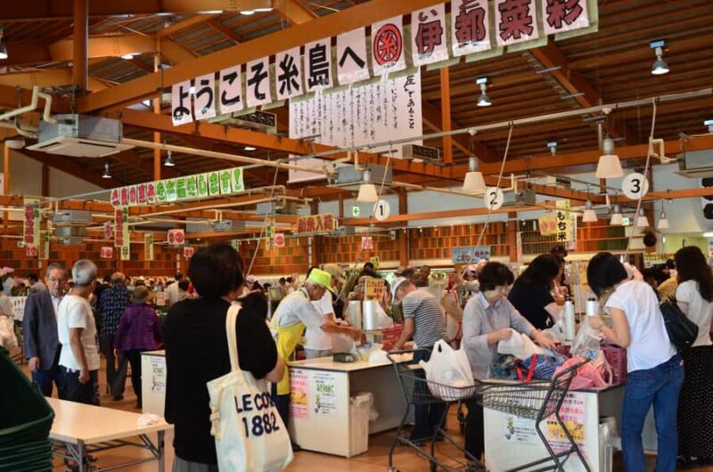 Fukuoka: Guided Walking Tour - Key Points