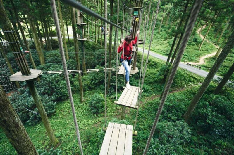 Fukuoka: Guided Walking Tour - Authenticity and Local Insights