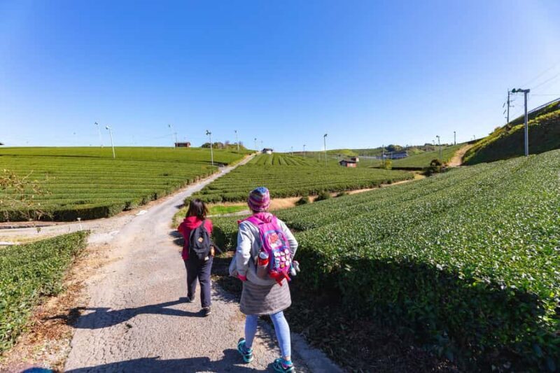 Fukuoka: Guided Walking Tour - Final Thoughts