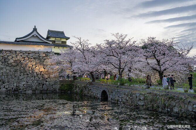 FUKUOKA Hakata Half Day Shared Tour ~Sightseeing with Coffee~ - An In-Depth Look at the Tour