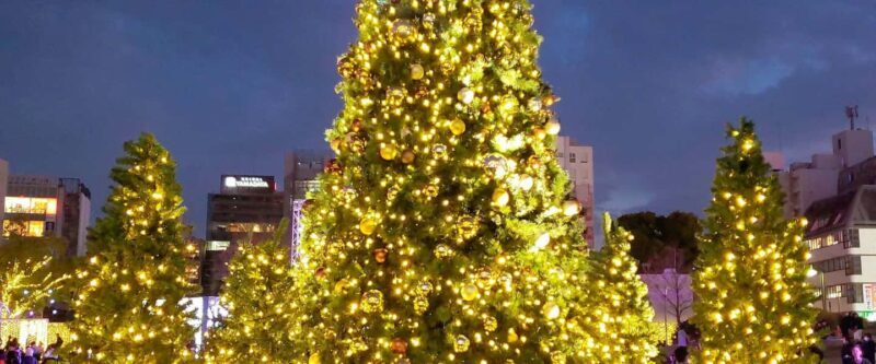 Fukuoka: Hakata & Tenjin Christmas Markets Walking Tour - What the Price Gets You and Its Value