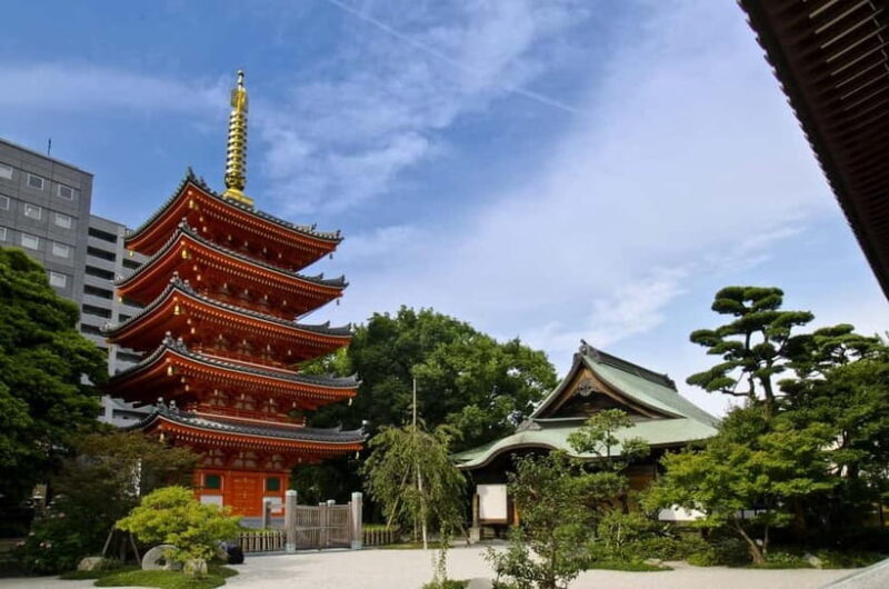 Fukuoka: Hakozaki Shrine, Tocho-ji Temple, & Ohori Park Tour - Who Should Consider This Tour?
