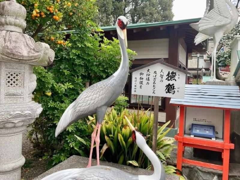 Fukuoka: Hakozaki Shrine, War Monument, & Tower Walk Tour - Key Points