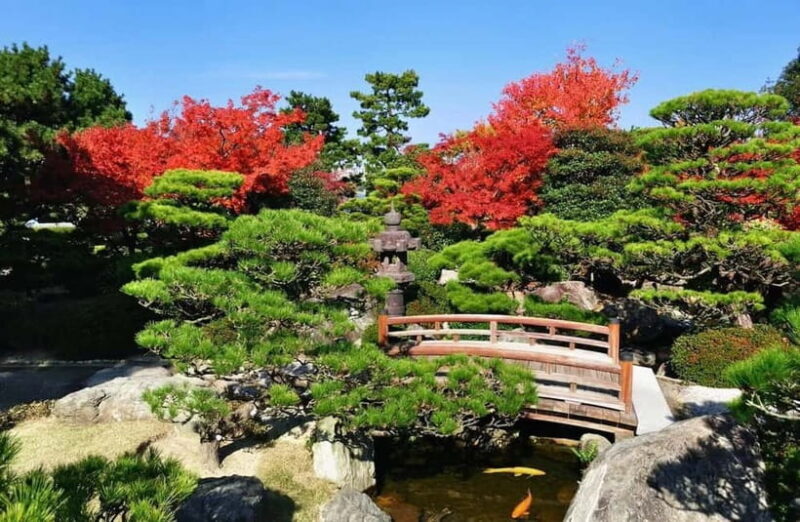 Fukuoka: Hidden History of Zen, Castles & Rebellion Tour - Key Points