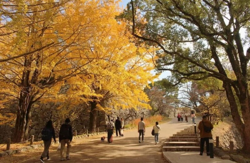 Fukuoka: Hidden History of Zen, Castles & Rebellion Tour - Value and Final Thoughts
