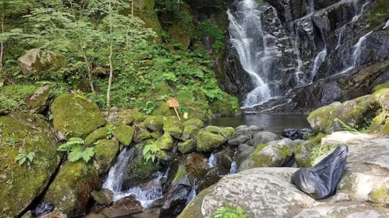 Fukuoka: Itoshima Adventure & Wellness Private Day Trip - A Detailed Look at the Itoshima Adventure & Wellness Tour