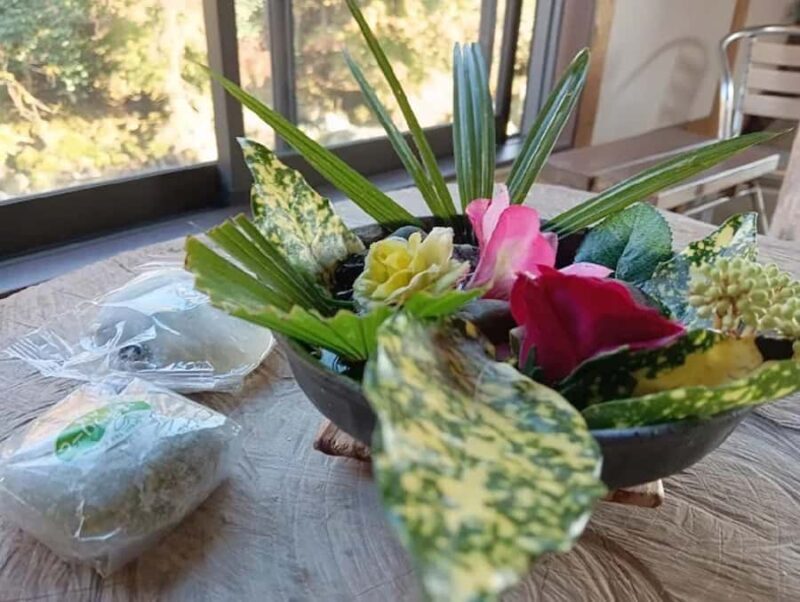 Fukuoka: Itoshima Hidden Gems & Coastal Culture Day Trip - Who Should Consider This Tour?