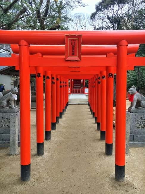 Fukuoka: Itoshima, Karatsu Castle & Shrines Private Tour - Key Points