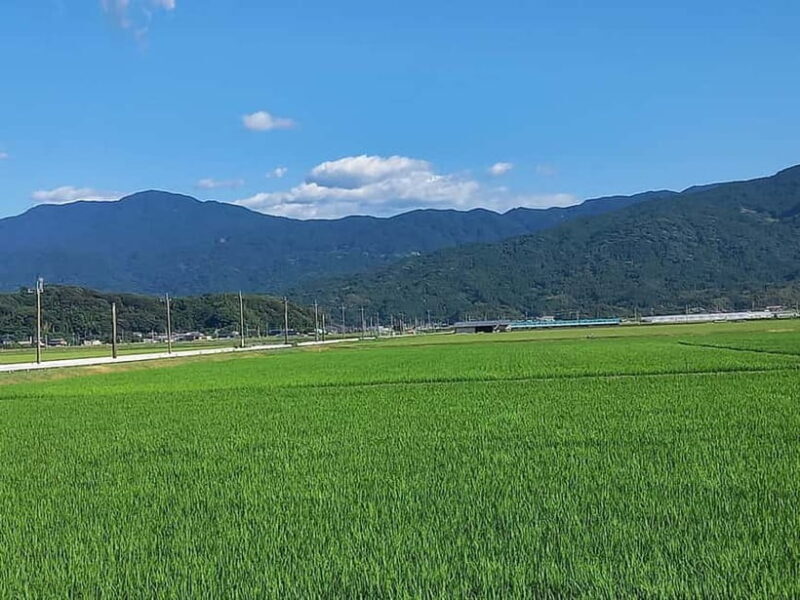 Fukuoka: Itoshima, Karatsu Castle & Shrines Private Tour - FAQ