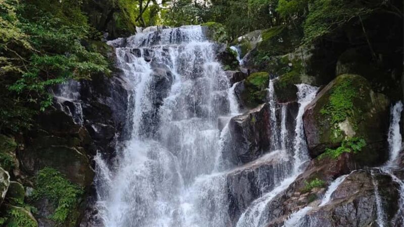 Fukuoka: Itoshima Waterfall, Ramen, and Fukuoka Tower Tour - Who Will Appreciate This Tour?