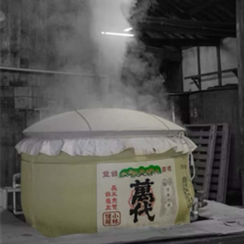 Fukuoka: Kobayashi Shuzo Honten Sake Brewery Tour - Key Points