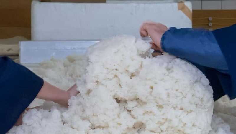 Fukuoka: Kobayashi Shuzo Honten Sake Brewery Tour - FAQs