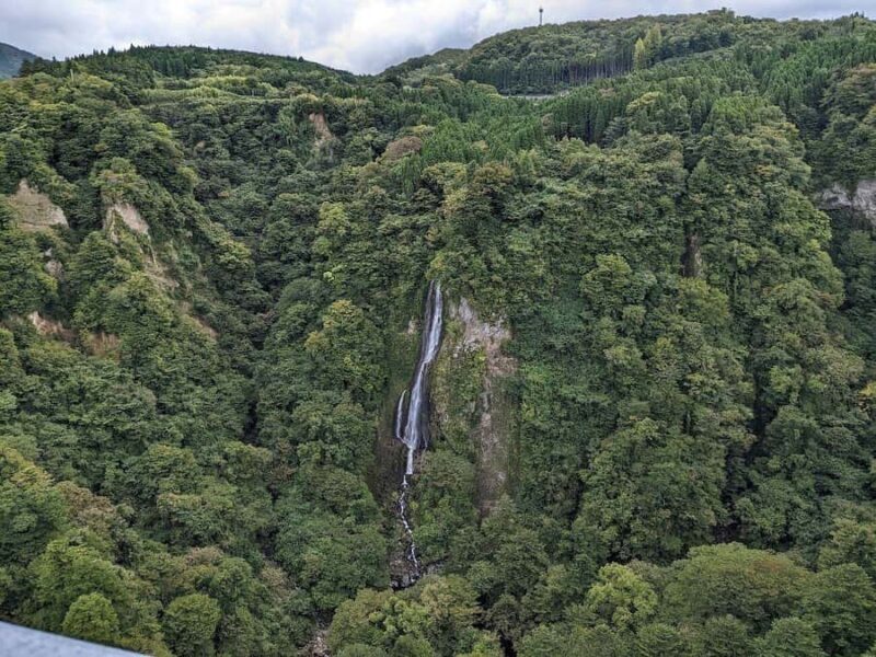 Fukuoka: Kokonoe Sky Bridge & Waterfalls Day Trip - Who Should Consider This Tour?