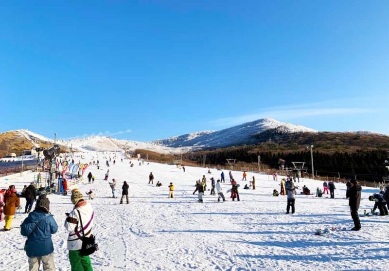 Fukuoka: Kuju Forest Park Skiing Grounds Day Tour opt Lesson - The Journey Begins: Comfort and Convenience from Fukuoka