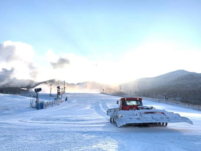 Fukuoka: Kuju Forest Park Skiing Grounds Day Tour opt Lesson - The Scenic Beauty: A Top Highlight
