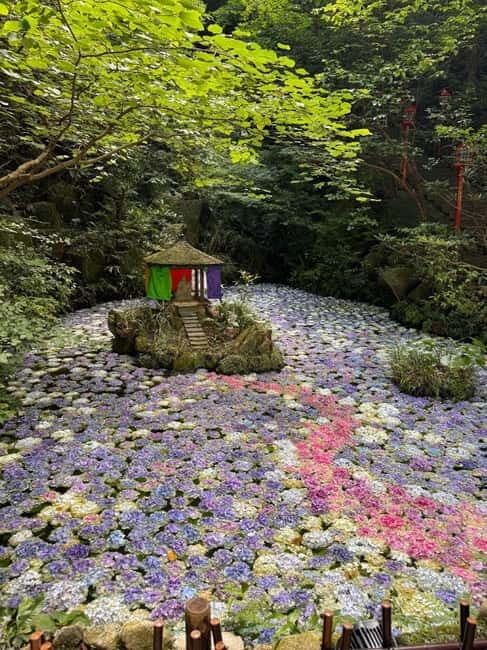 Fukuoka: Morning Serenity Guided Walking Tour - Tocho-ji Temple and the Great Buddha