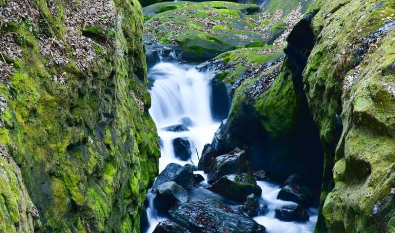 Fukuoka: Mt. Aso Volcano & Kurokawa Onsen Scenic Day Tour - Additional Considerations