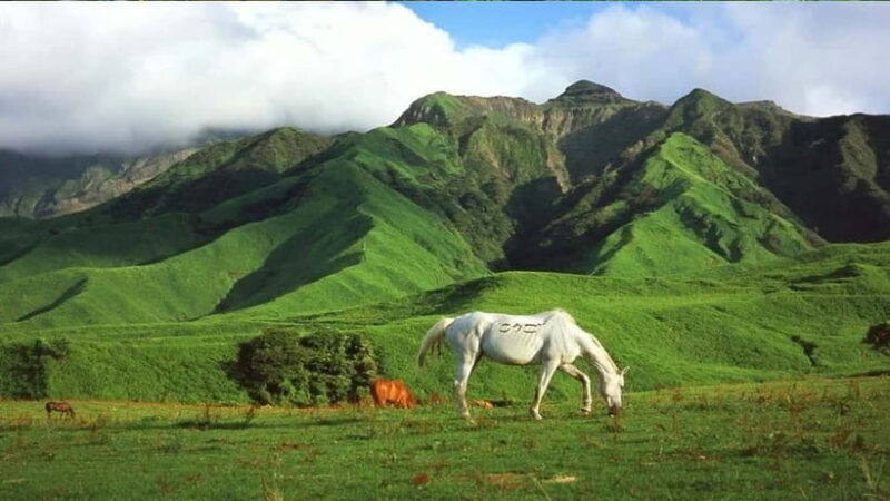 Fukuoka: Mt. Aso Volcano & Kurokawa Onsen Scenic Day Tour - Who Is This Tour Best For?