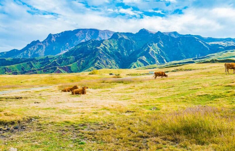 Fukuoka: Mt. Aso Volcano, Kusasenri & Grasslands Day Tour - Practical Tips for Travelers