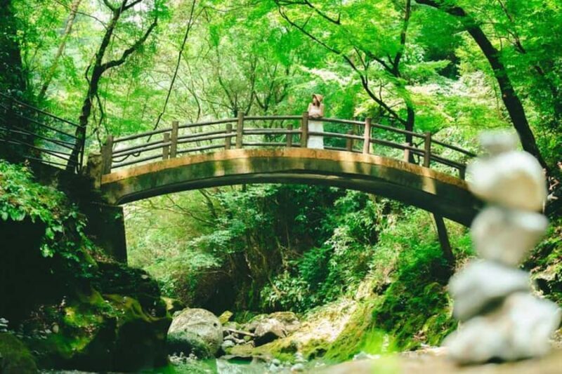 Fukuoka: Mt. Aso Volcano Walk & Kusasenri Horseback Ride - Analyzing the Value