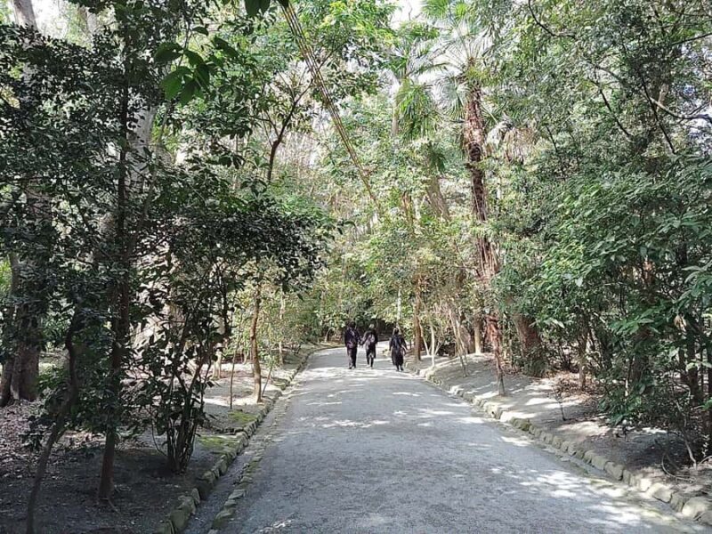 Fukuoka: Munakata Taisha Shrine Guided Tour UNESCO Site - Who Will Enjoy This Tour?