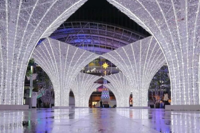 Fukuoka: Nanzoin Temple and Dazaifu Day Trip with Lunch - An In-Depth Look at the Tour Itself