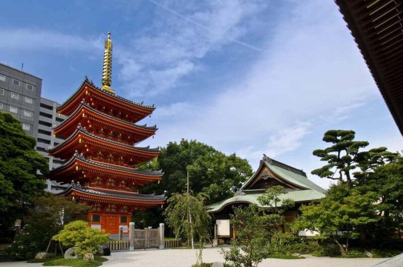Fukuoka: Nanzoin Temple and Great Buddha Tour - FAQs