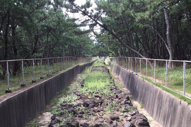 Fukuoka Nature and Cultural Sightseeing Tour - Frequently Asked Questions