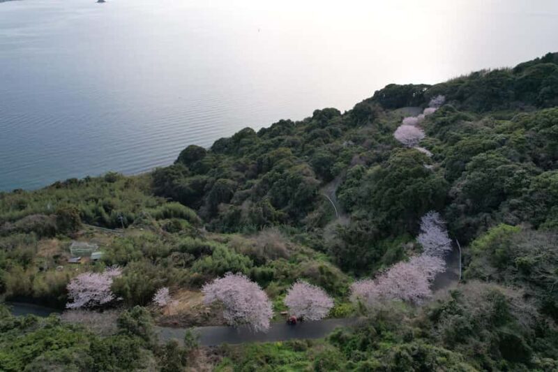 Fukuoka: Nokonoshima Island Guided Walking Tour - Detailed Breakdown of the Itinerary