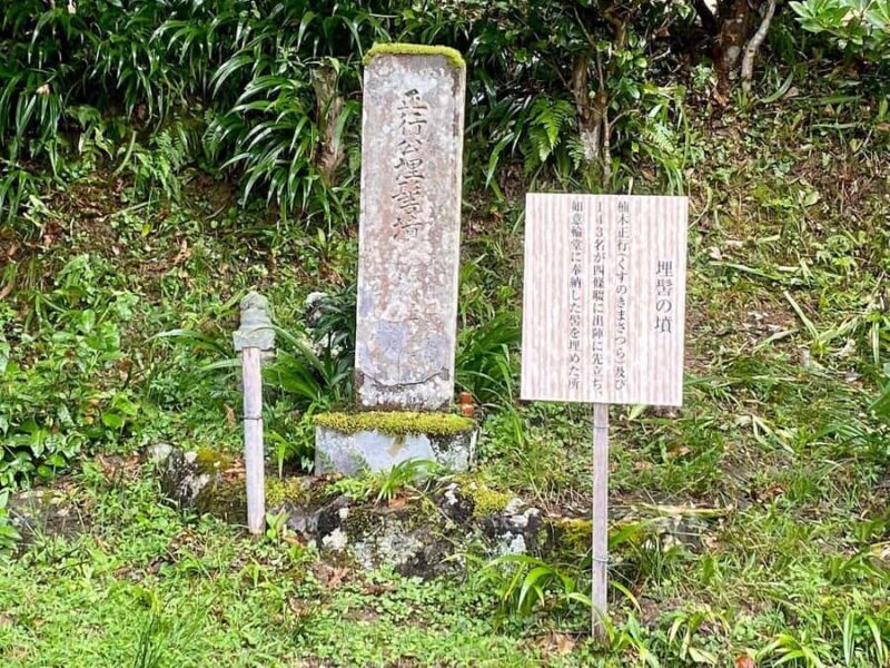 Fukuoka: Nyoirinji Frog Temple & Tea Escape - Discovering Nyoirinji: The Frog Temple’s Playful Spirit