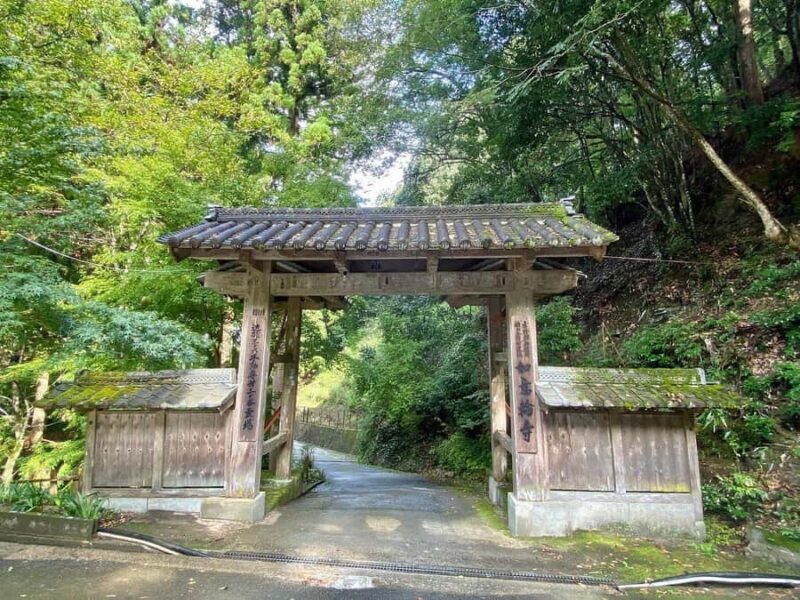 Fukuoka: Nyoirinji Frog Temple & Tea Escape - Practical Details and Logistics