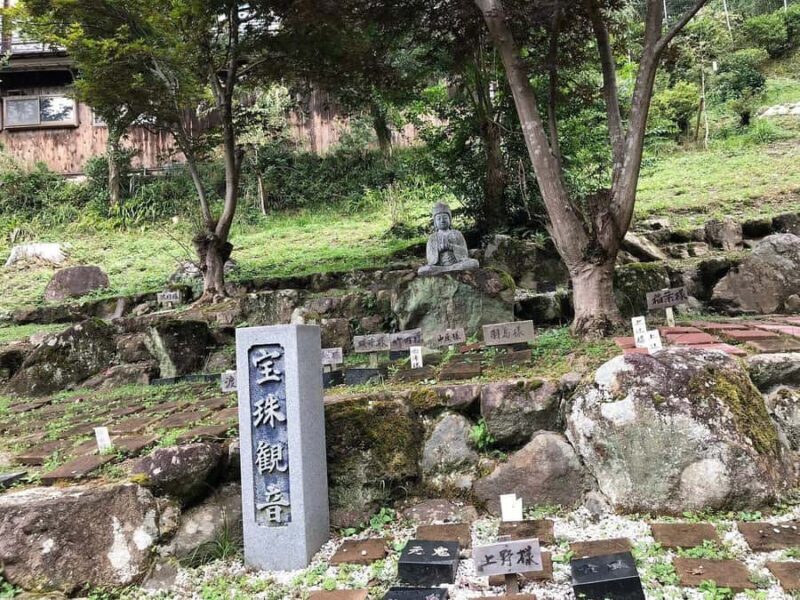 Fukuoka: Nyoirinji Frog Temple & Tea Escape - Who Would Love This Tour?